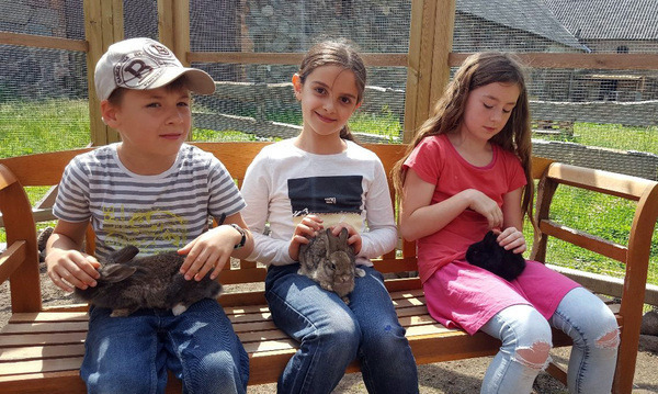 Draußen mittendrin! – Neuigkeiten von „Die Arche Kinder-Ranch - Ein ...